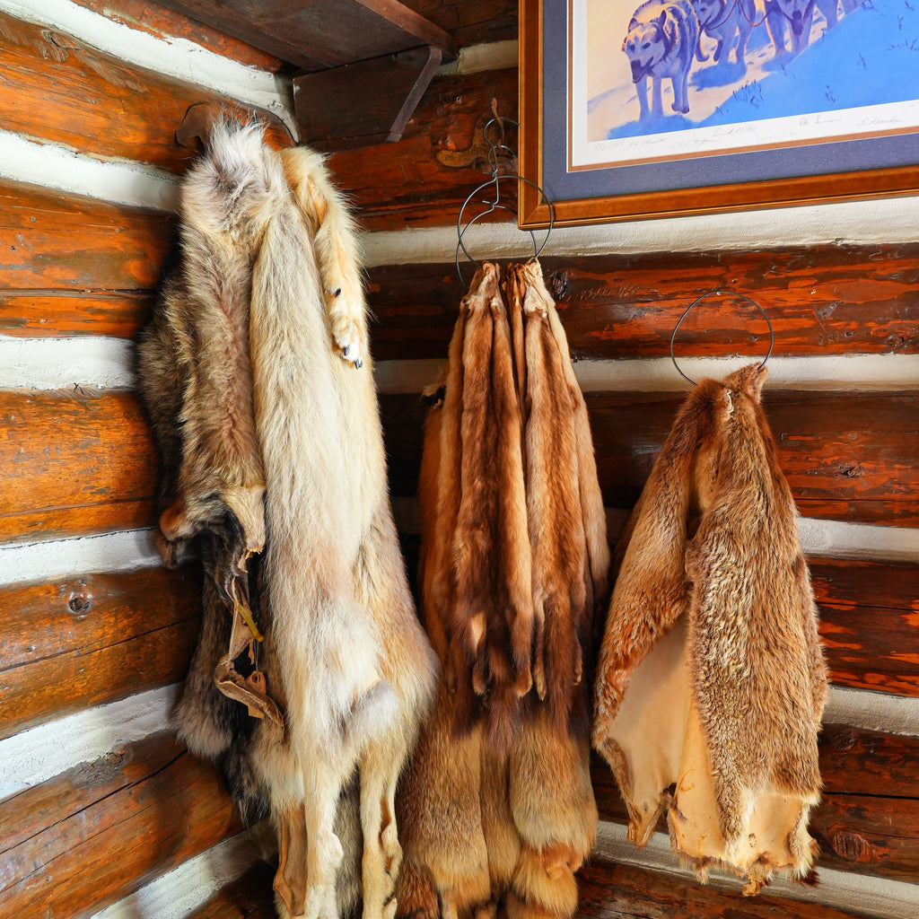 A History of Hunting in North America – Marks Outdoors