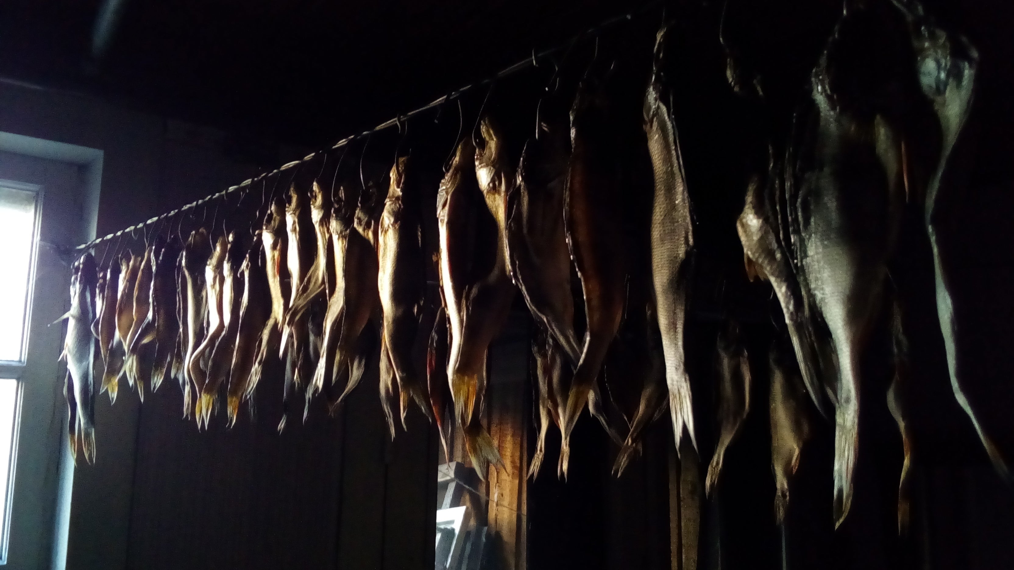 Different Types of Jerky – Marks Outdoors